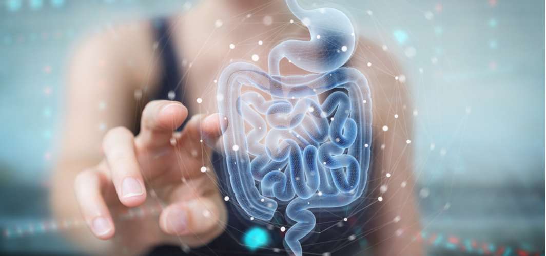 5 Most Common Digestive Disorders Explained