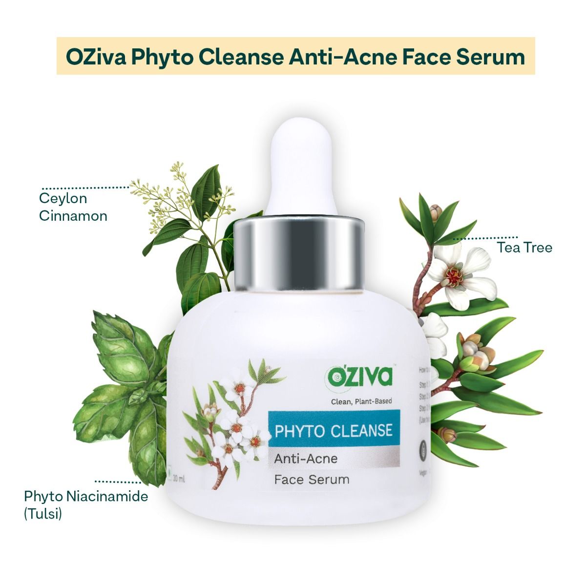 OZiva Phyto Cleanse Anti-Acne Face Serum, 30 ml Price, Uses, Side ...