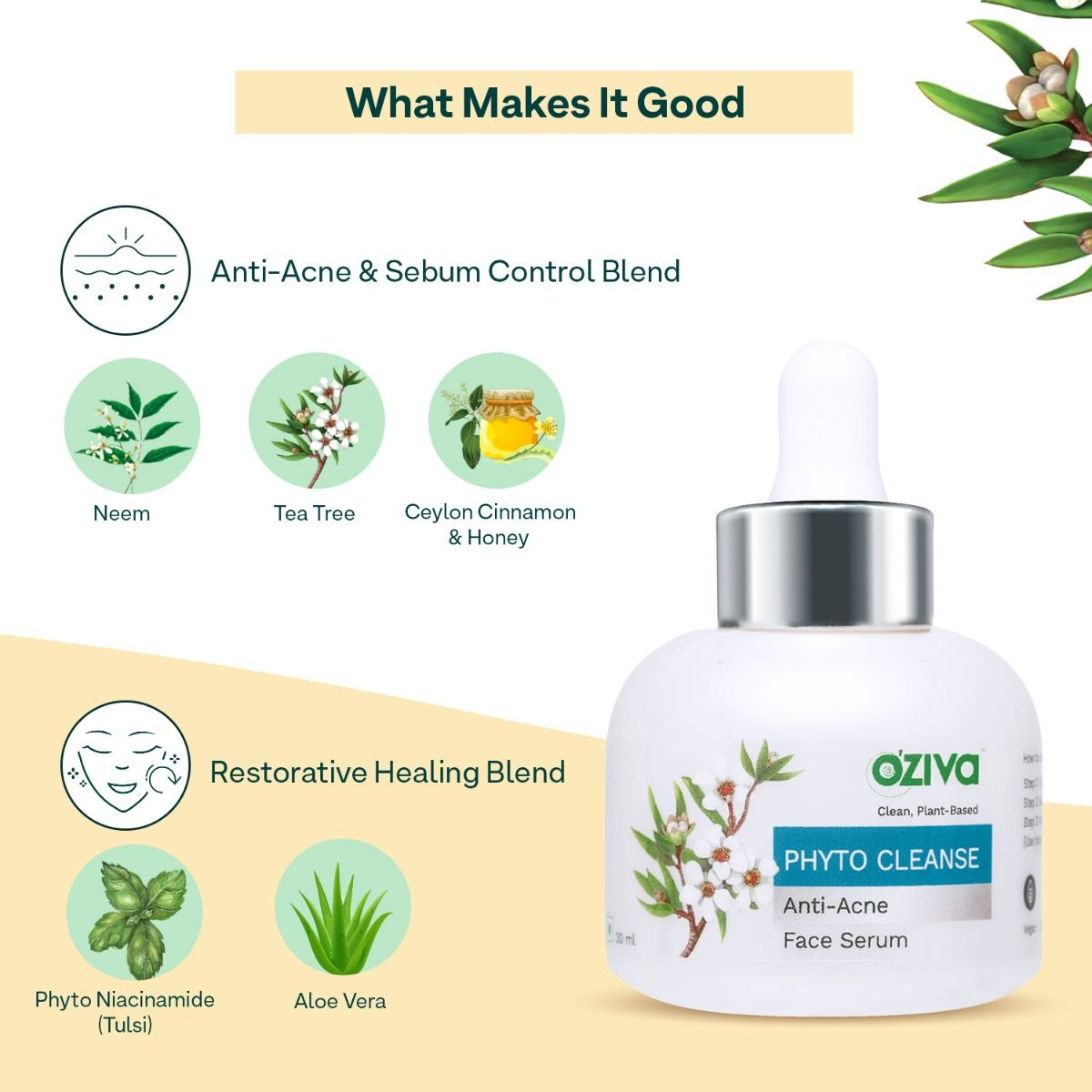 OZiva Phyto Cleanse Anti-Acne Face Serum, 30 ml Price, Uses, Side ...