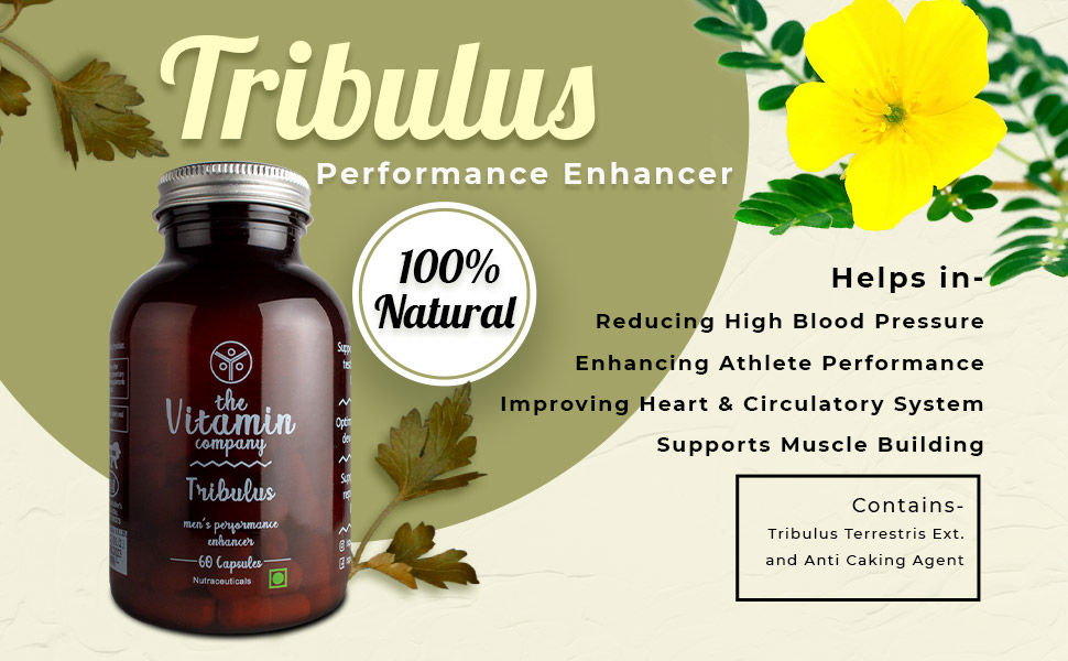 The Vitamin Company Tribulus, 60 Capsules Price, Uses, Side Effects ...