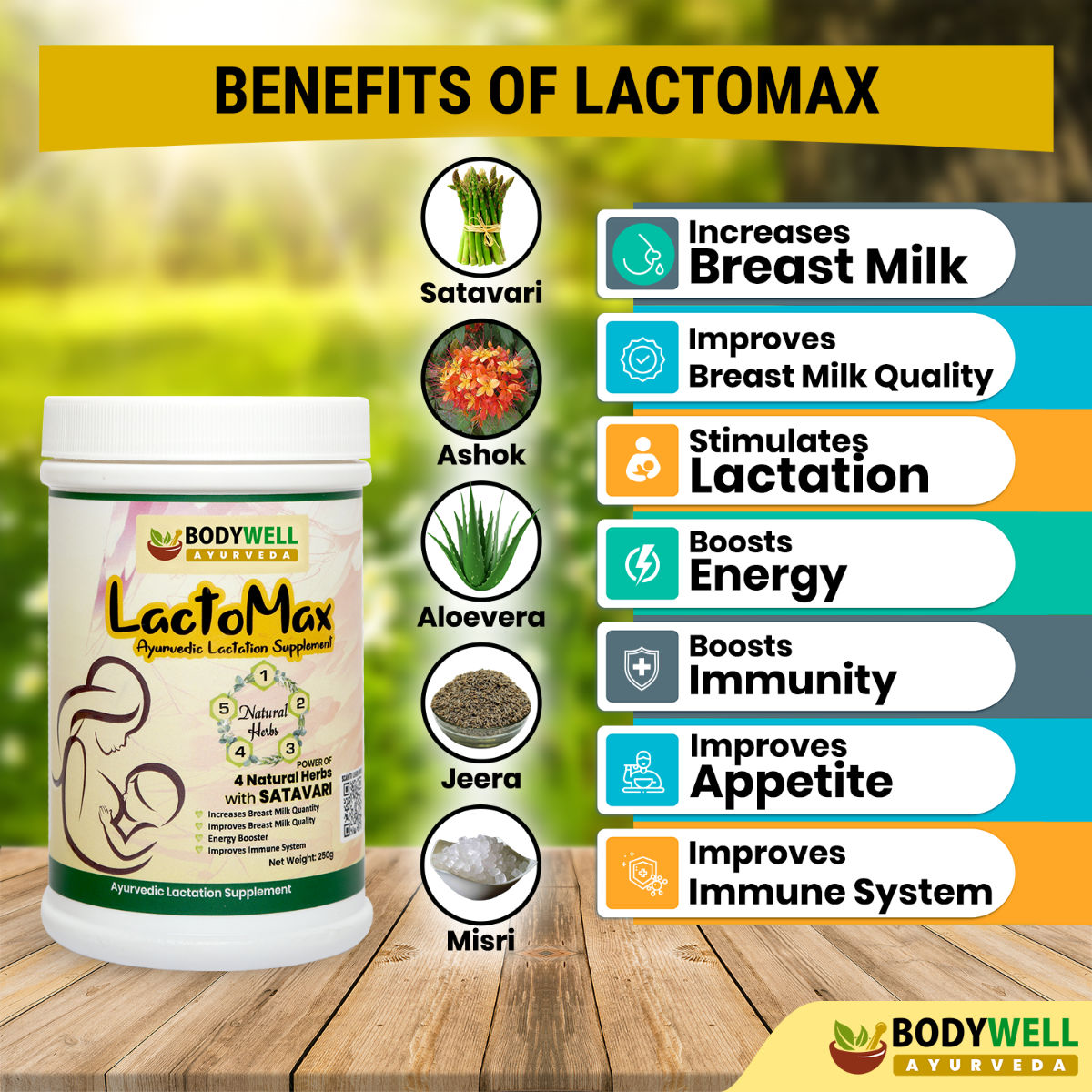 Bodywell Lacto Max Powder, 250 gm Price, Uses, Side Effects ...
