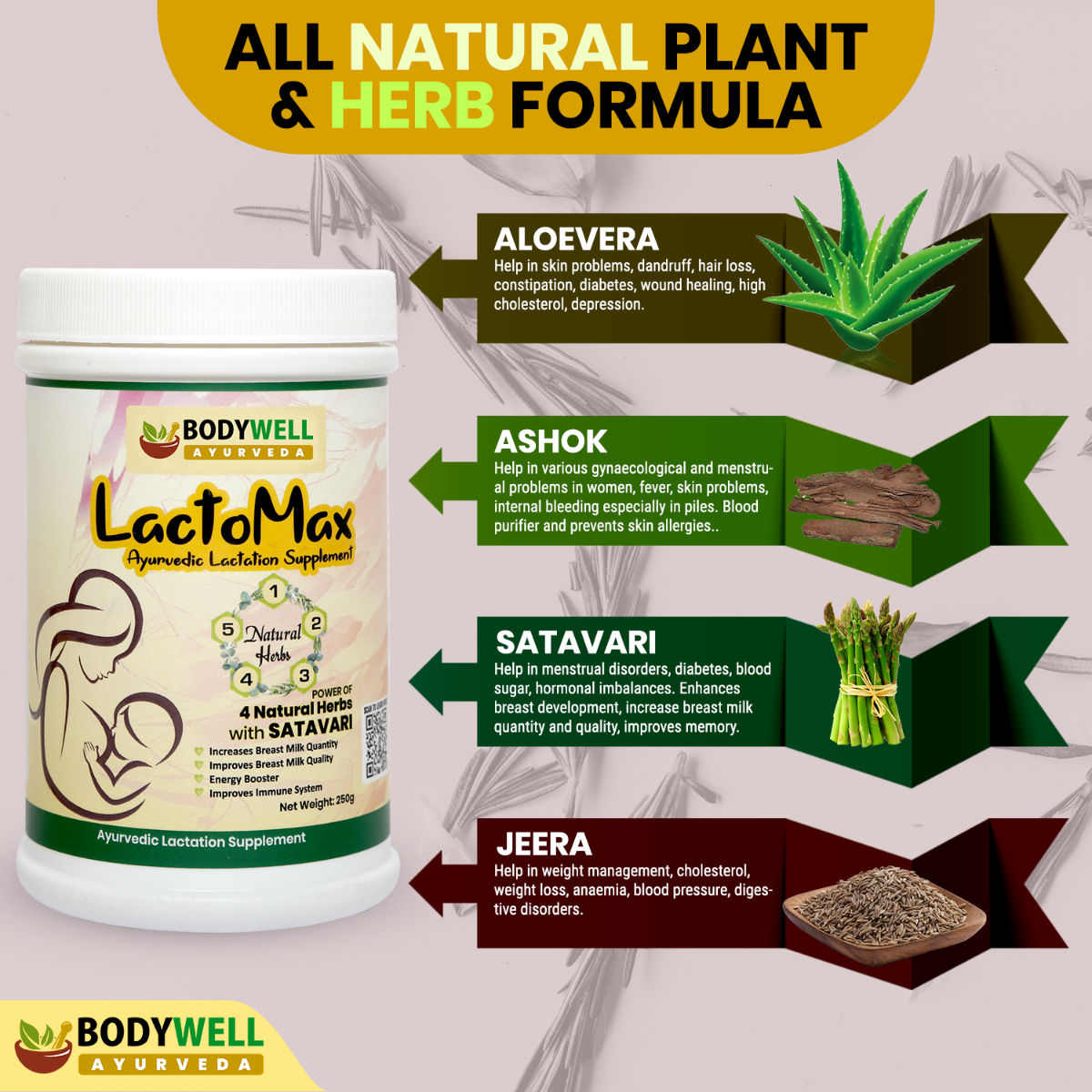 Bodywell Lacto Max Powder, 250 gm Price, Uses, Side Effects ...