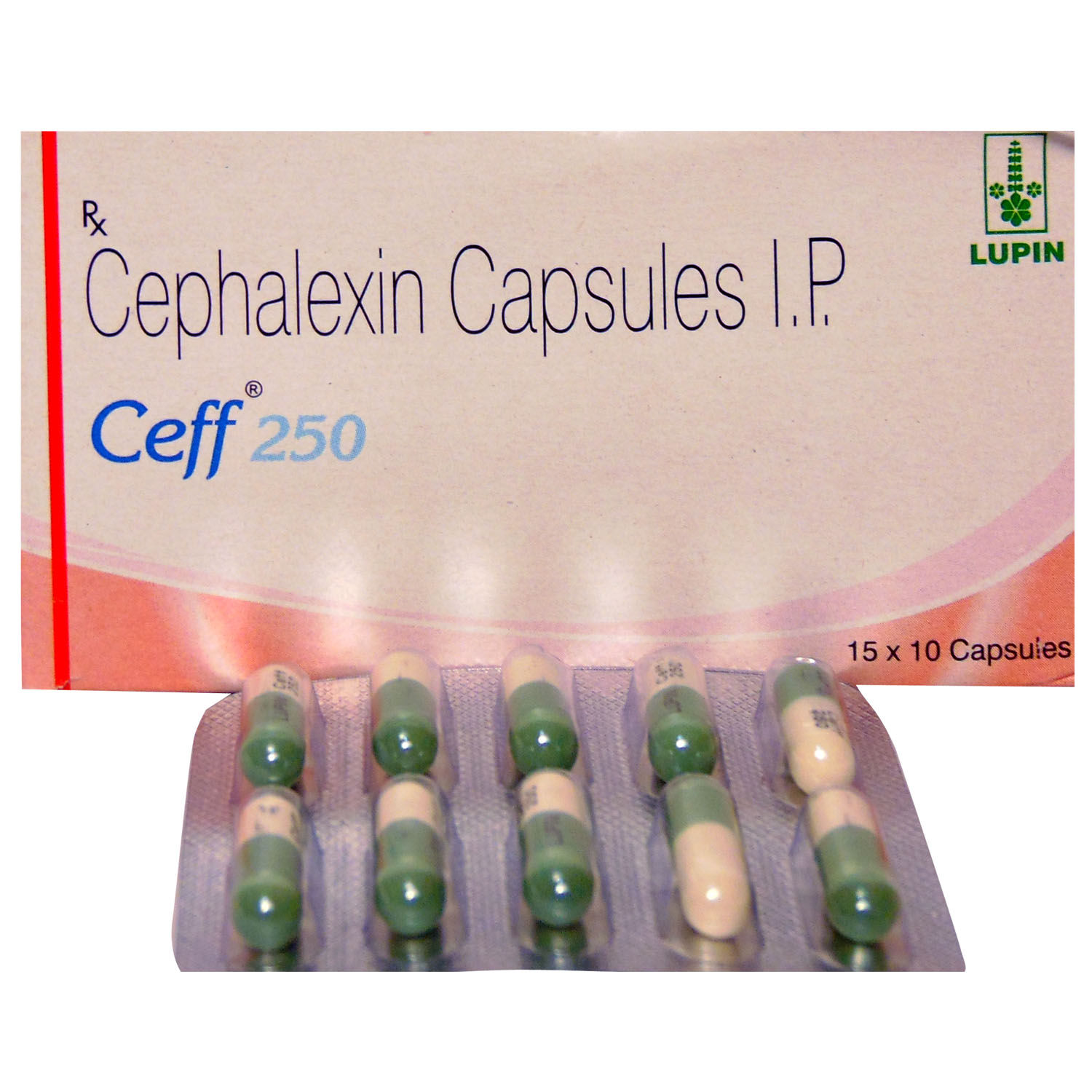 CEFF 250MG CAPSULE Price, Uses, Side Effects, Composition - Apollo Pharmacy