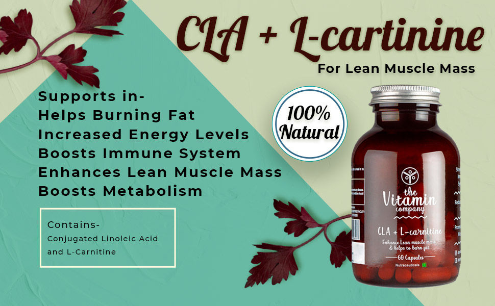 The Vitamin Company CLA + L-Carnitine, 60 Capsules Price, Uses, Side ...
