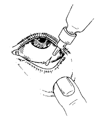 Optihist Bang 1.5%W/W Eye Drops 5ml Price, Uses, Side Effects ...