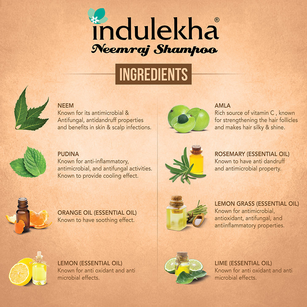 Indulekha Neemraj Dandruff Care Hair Cleanser, 100 ml Price, Uses, Side ...