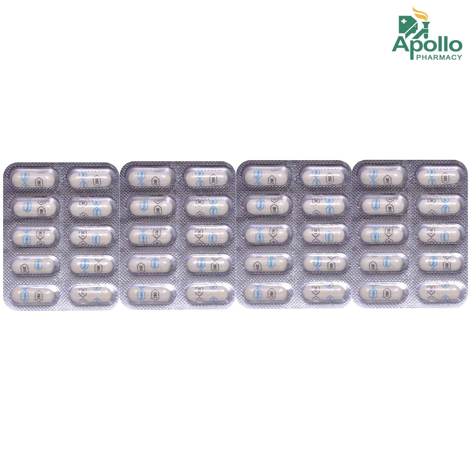 Paraxin 250 Capsule 10's Price, Uses, Side Effects, Composition ...
