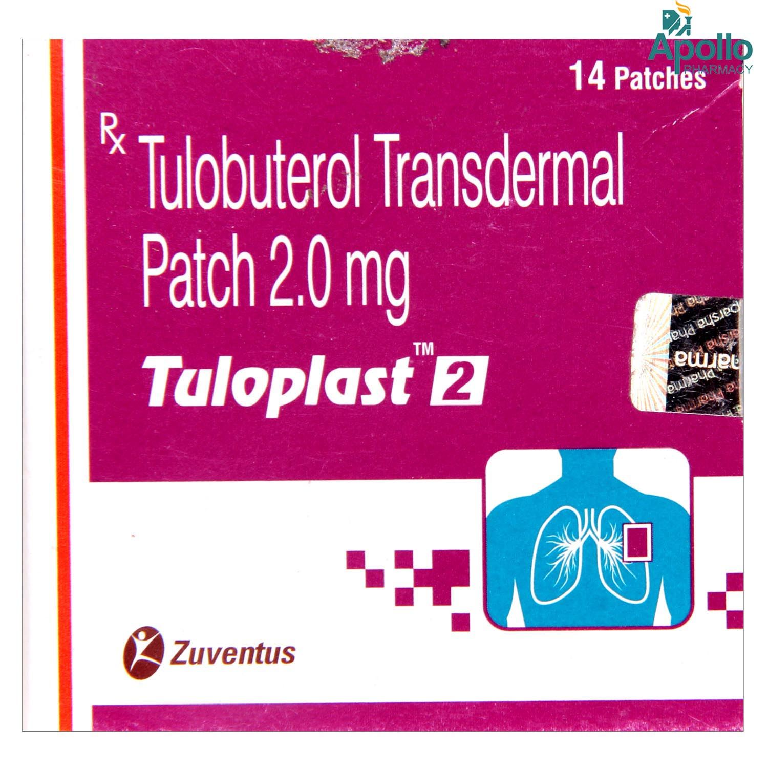Tutoplast Patch Graft